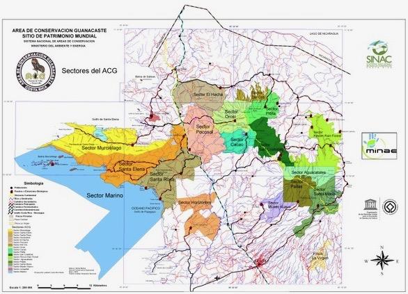 Expanding ACG | GDFCF